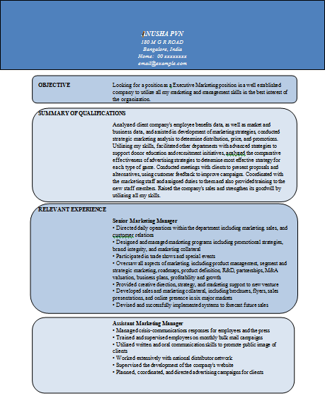 Over 10000 CV and Resume Samples with Free Download: Content Rich ...
