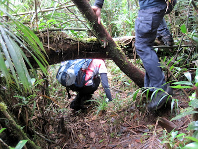 Nueva Vizcaya's Amazing Mt. Palali