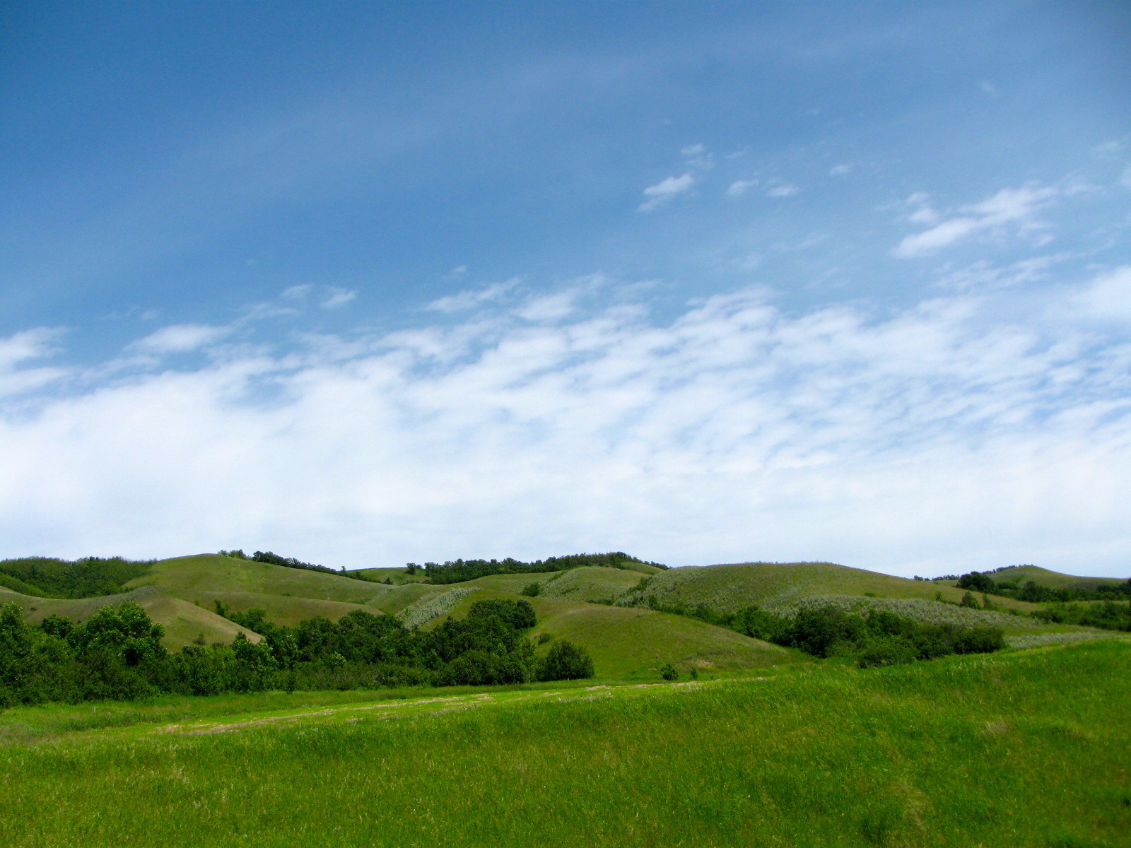 Louise Le Bourdais: LES PLAINES ET LA VALLÉE DE LA QU'APPELLE, SASKATCHEWAN