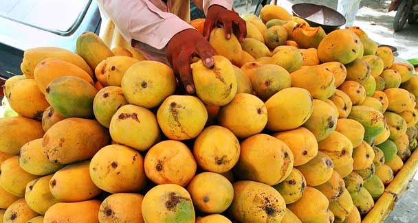 Pakistani Mangoes Pictures - Pakistan in Photos