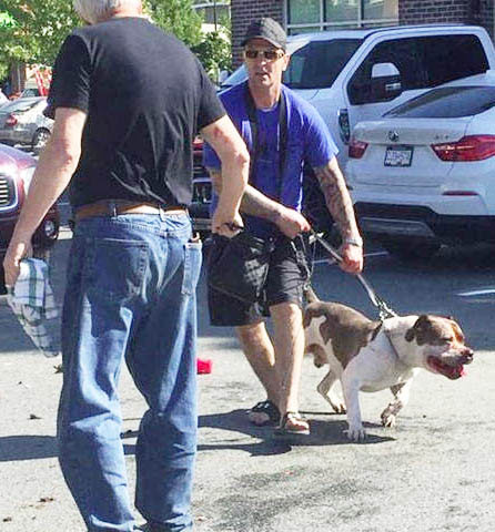 Four legged friends (and enemies): Canada: Violent pit bull attack ...