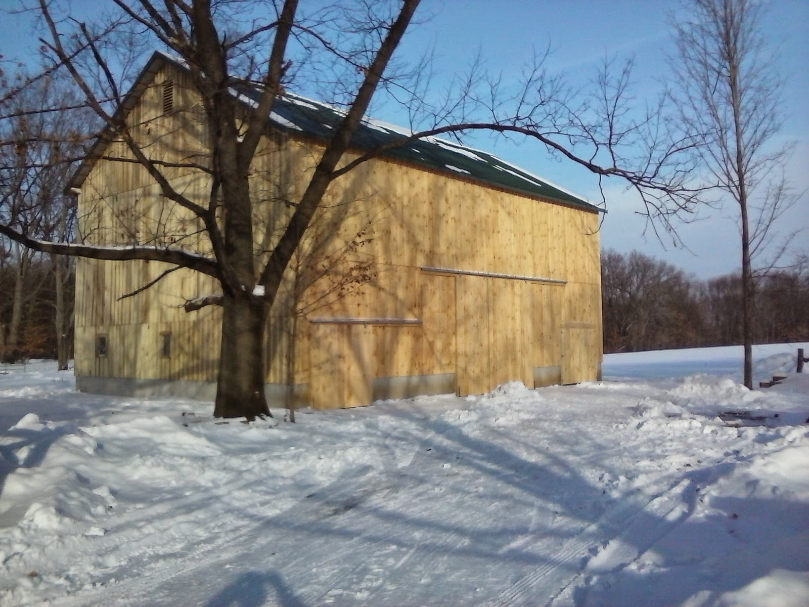 Hayman Road Farm: 2015