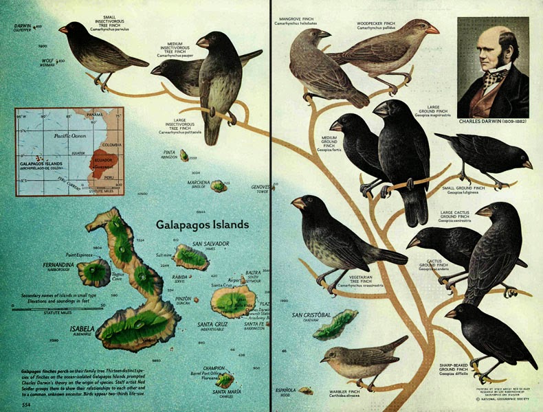 Flying Across the Seas: The Legacy of Charles Darwin