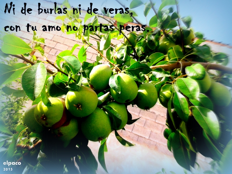 Cristo Amarrao a la Columna de Las Pedroñeras: No se pueden pedir peras ...