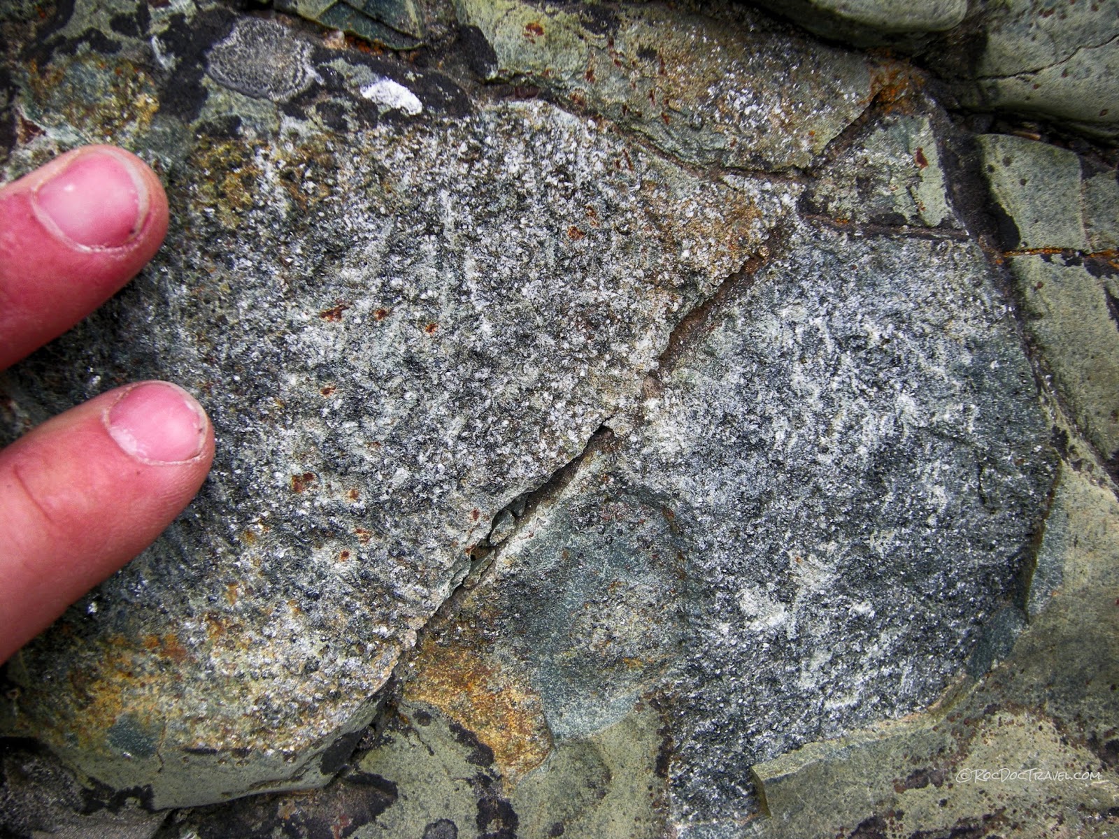 Northern California Coast 1