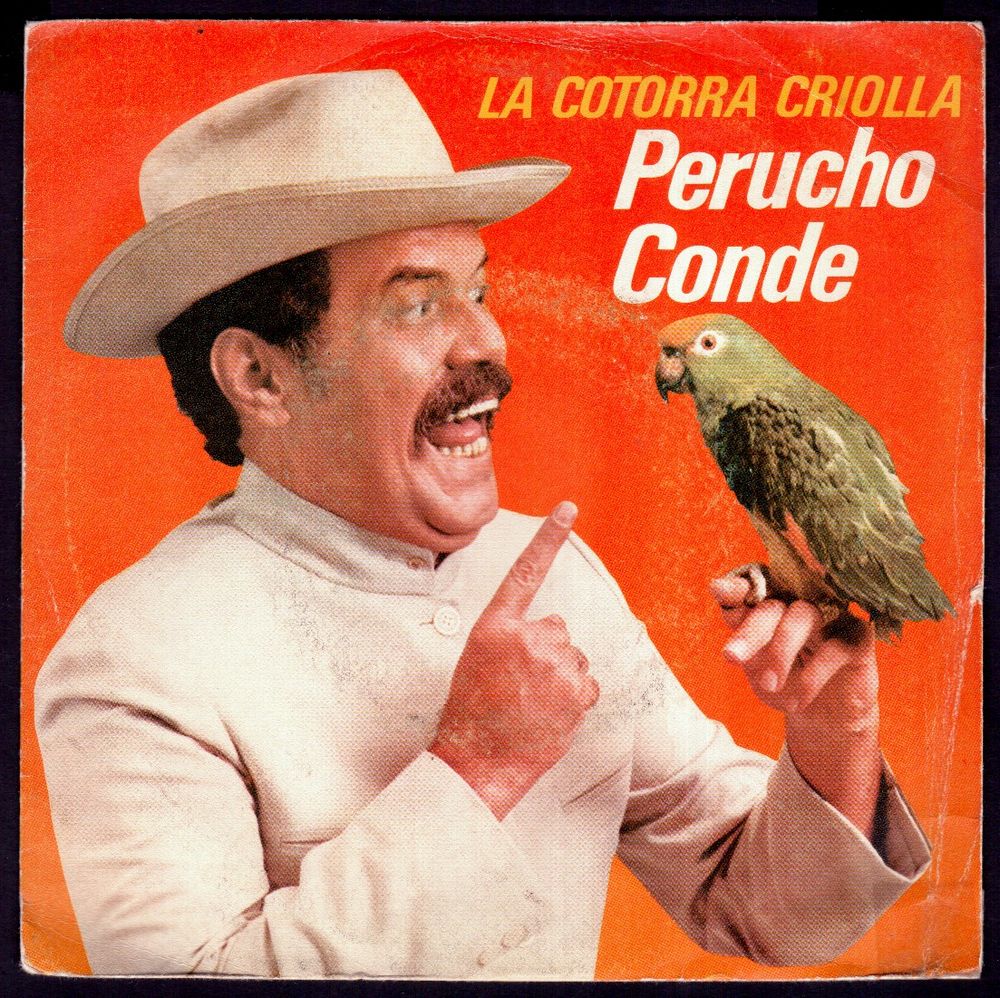 Kiwi's Angels: febbraio 2013