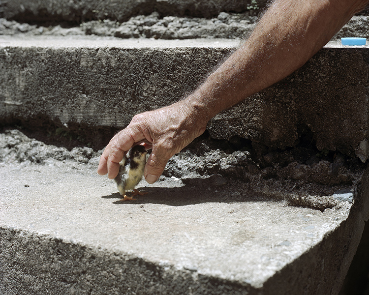 fototazo: Interview: Genesis Báez