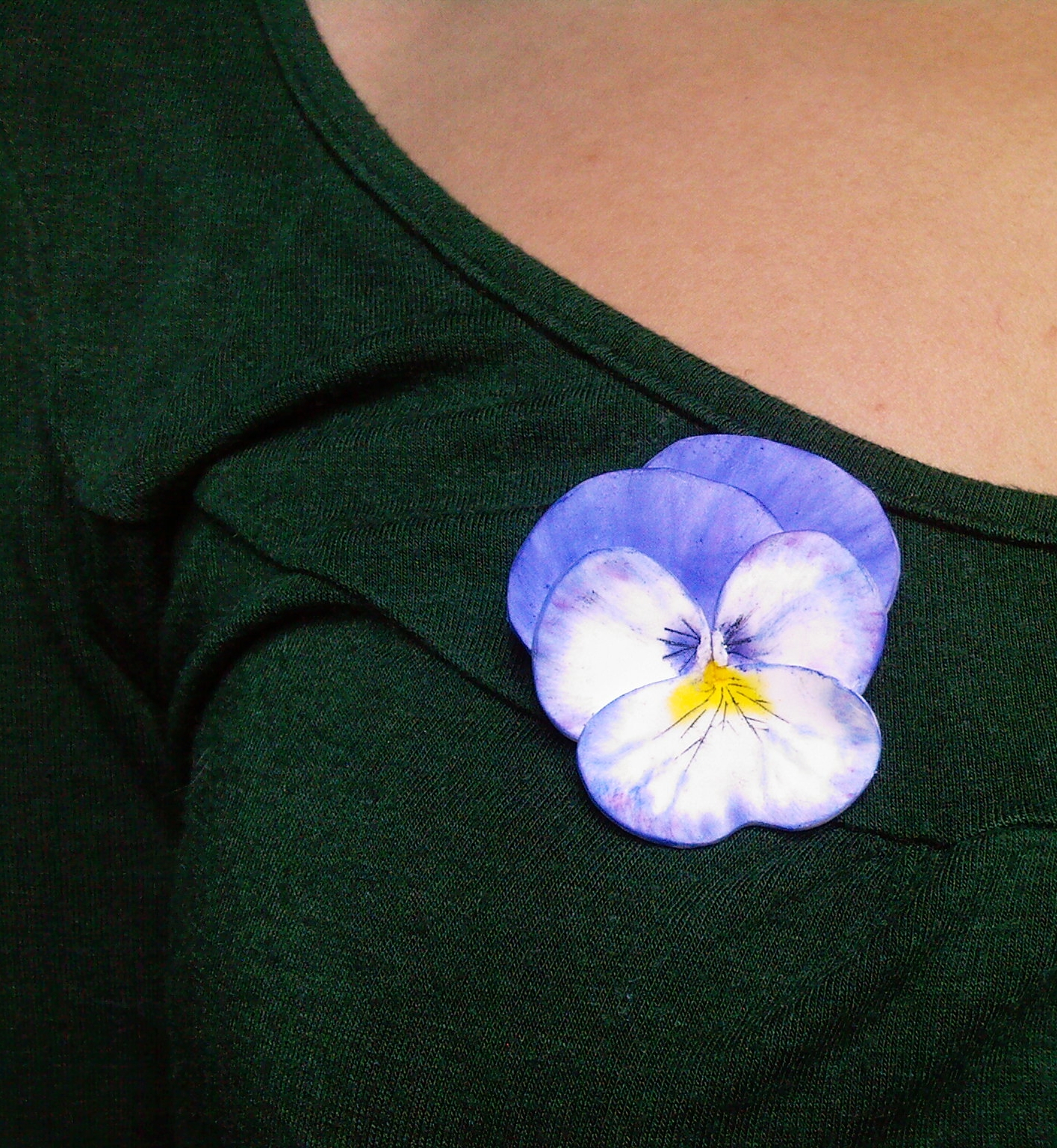 Handmade Creations: Panselute din gradina