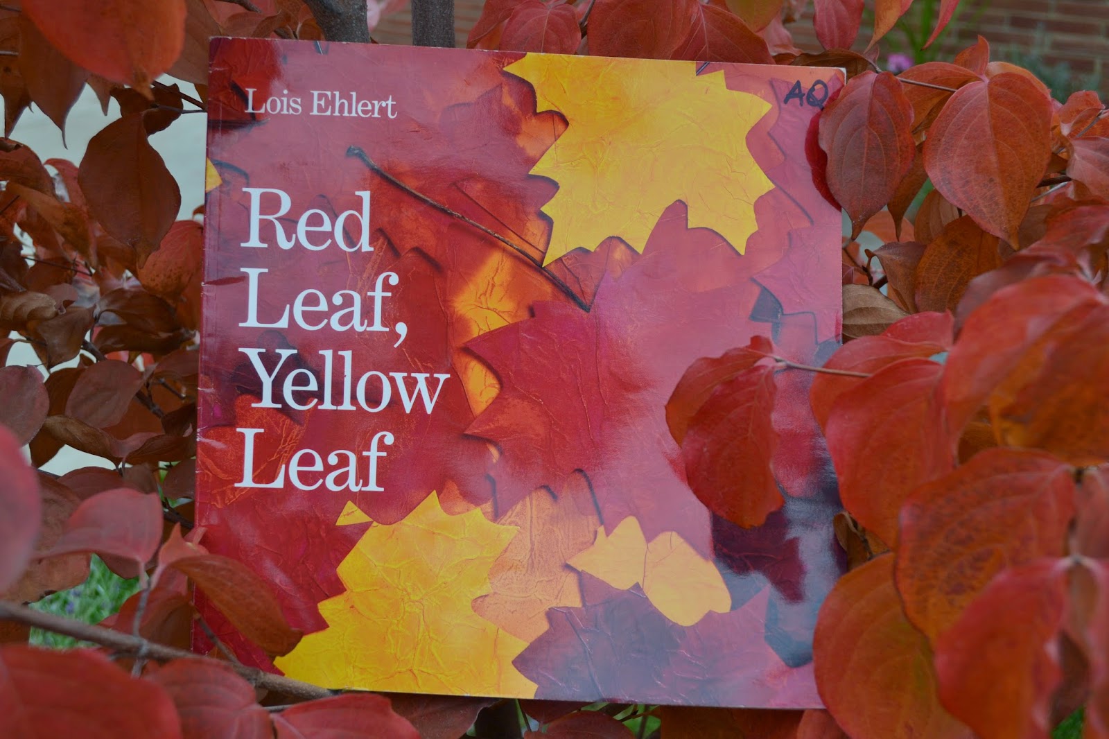 Book Blab - Blithering by a Book Lover: Red Leaf, Yellow Leaf