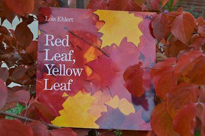 Book Blab - Blithering by a Book Lover: Red Leaf, Yellow Leaf