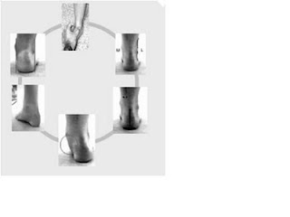 Ortopodologia y Biomecanica : FOOT POSTURE INDEX