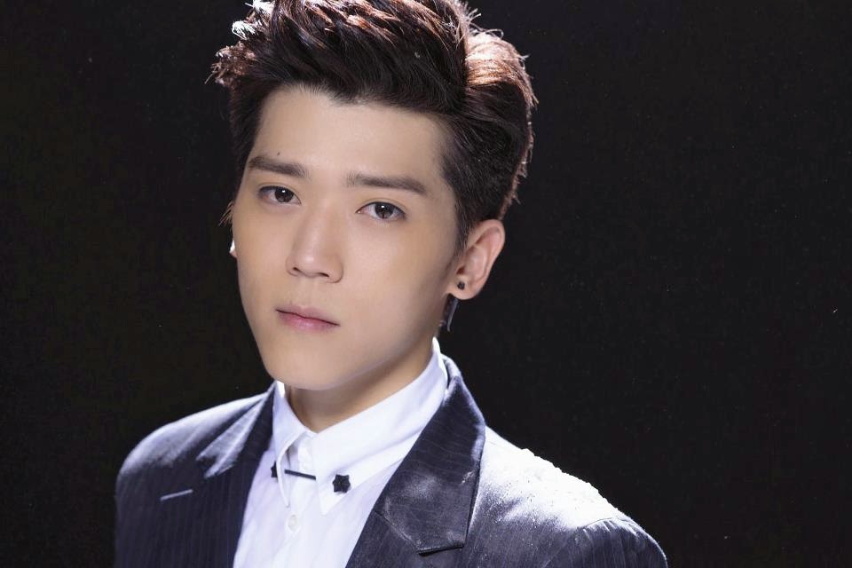 Taiwanese Pop Star Forever: Bii 畢書盡