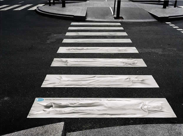 Conducir Con Normas: LAS CEBRAS