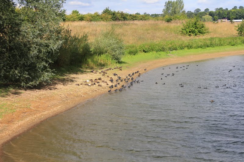 aliwalks : Holcot - Pitsford - Moulton - Holcot