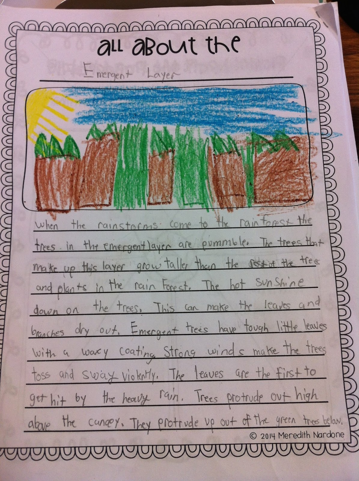 Creativity to the Core: Informational Writing - Red Eyed Tree Frog