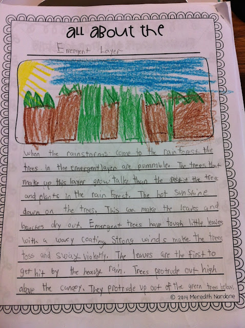 Creativity to the Core: Informational Writing - Red Eyed Tree Frog