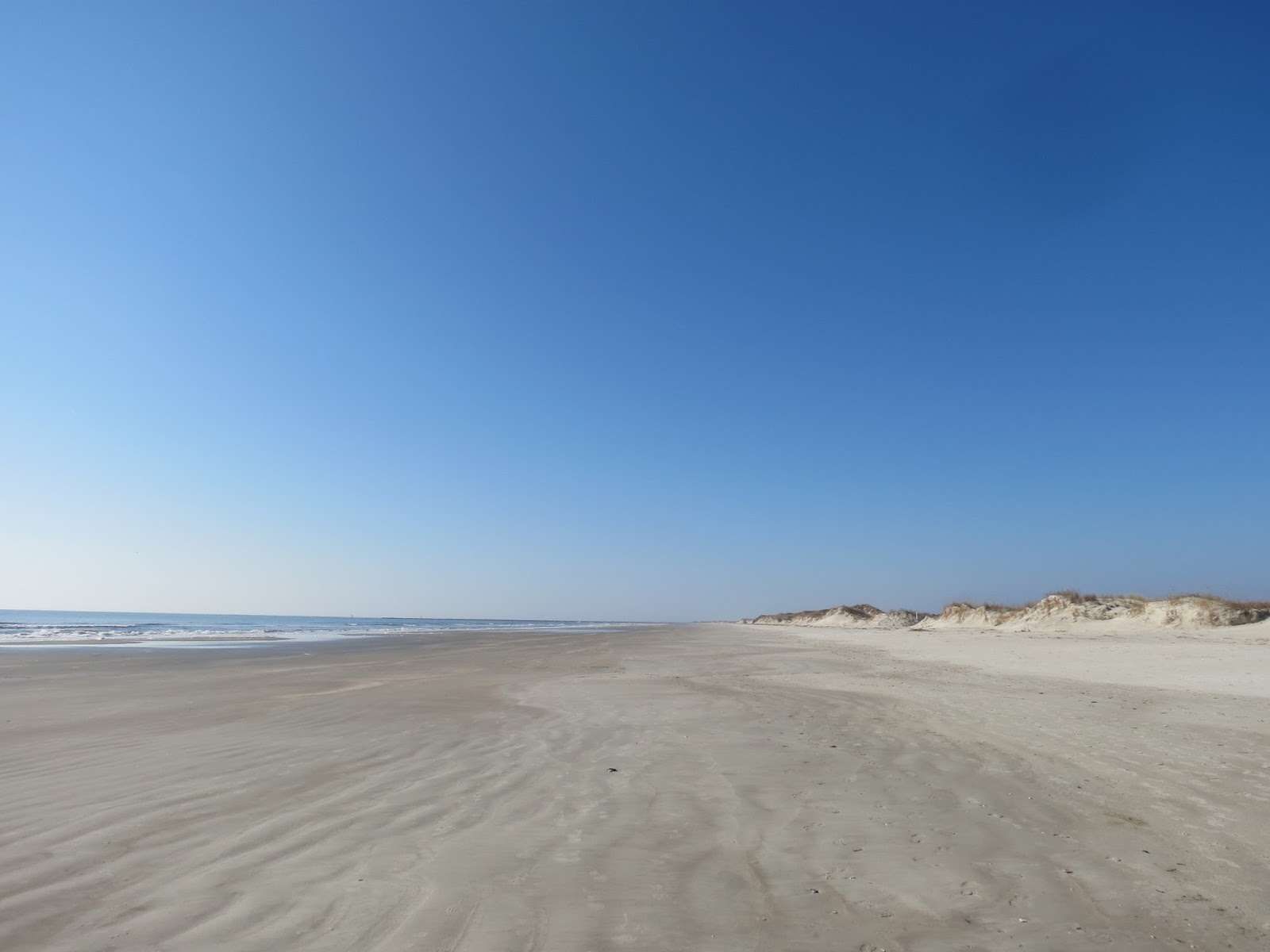 Viewing nature with Eileen: Sunset Beach, North Carolina