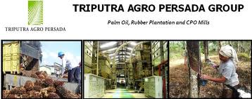 IndoJoBz.blogspot.com: Procurement Mill Officer - TRIPUTRA AGRO PERSADA