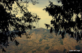 Cedar Hill Lodge - (Shimla) - Himachal Pradesh.: Hiking Trails ...