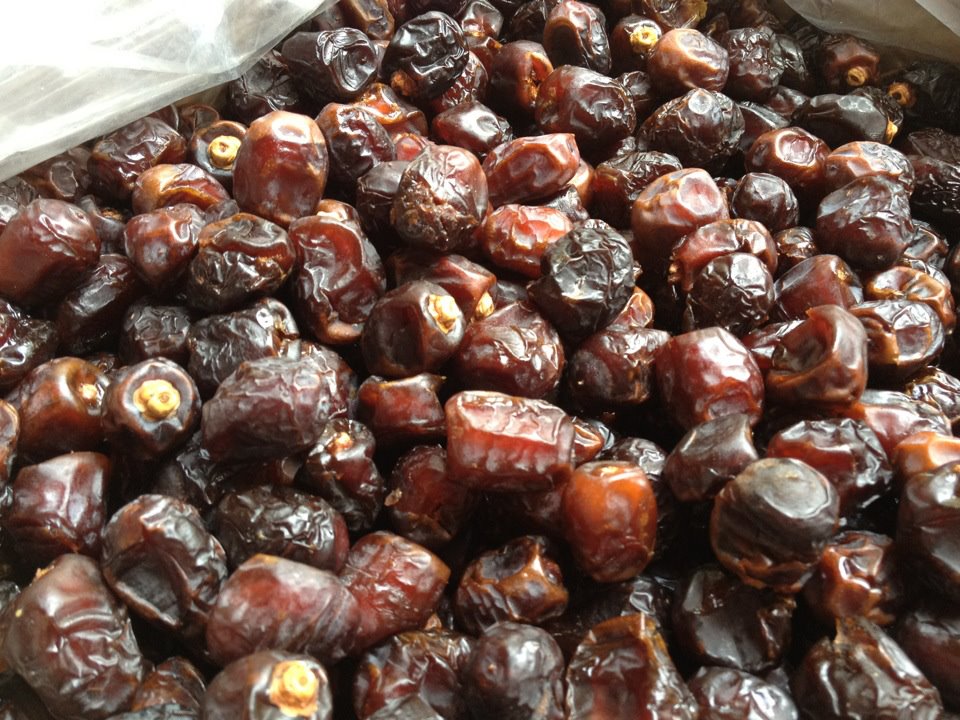 KEDAI JUAL KURMA IRAN