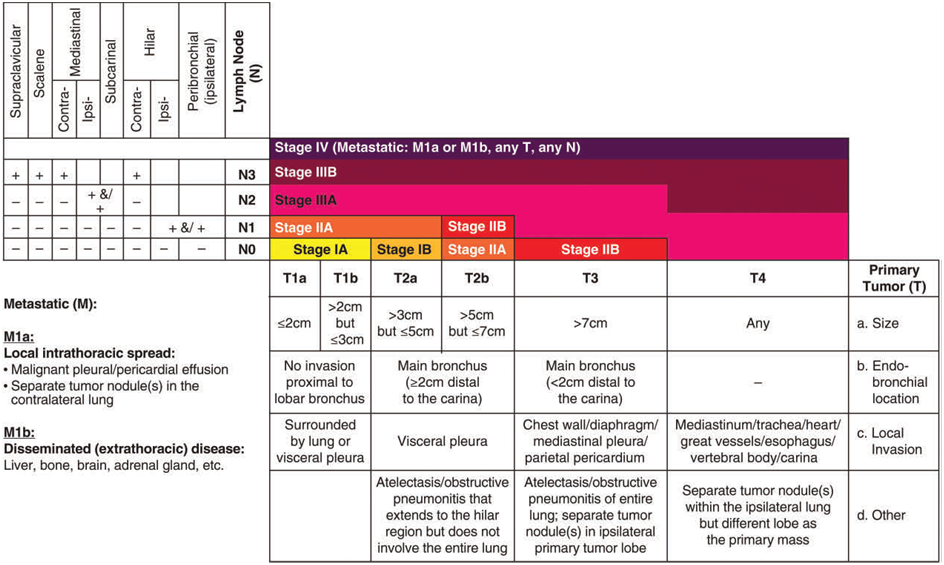 Chest Medicine Made Easy-Dr Deepu: STAGING OF LUNG CANCER -NSCLC