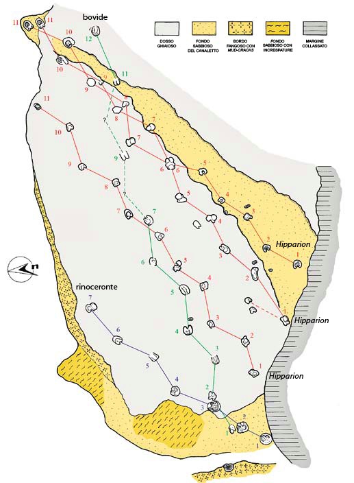 History of Geology: On the tracks of ancient mammals