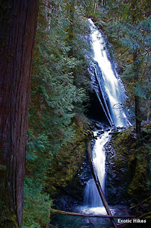 Olympic Peninsula Hikes, Guides and Updates: Murhut Falls Trail and ...