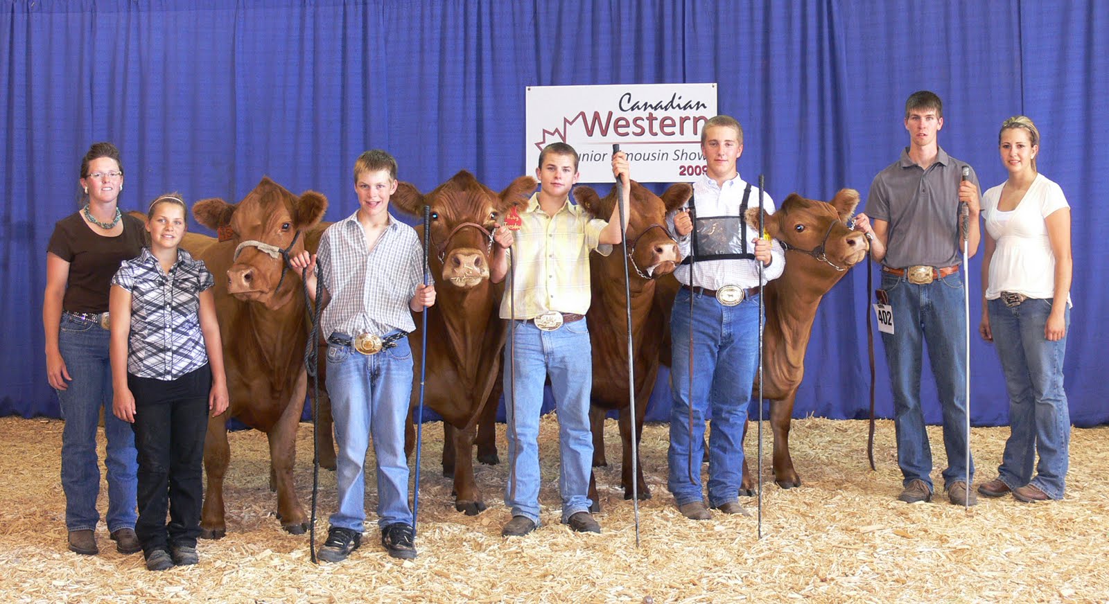 My Cattle World: Showmanship