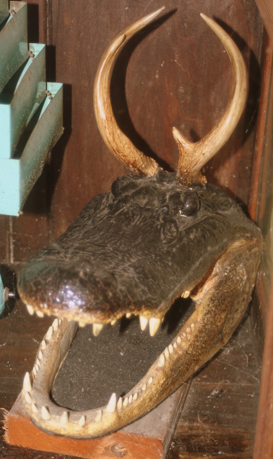 The Carpetbagger: The Abita Mystery House