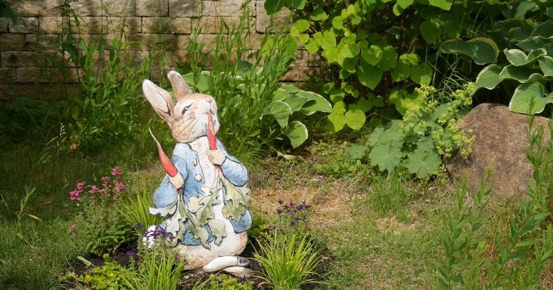 Stardust Talk : Into the world of Peter Rabbit picture book at Mt. Rokko