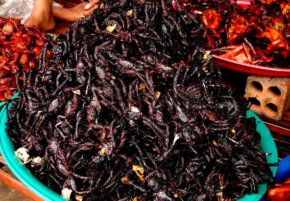 Cambodia Spiders, snakes and deep fried insects - I Love Cambodia