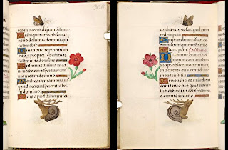 ShukerNature: MEDIEVAL SNAIL-CATS IN ILLUMINATED MANUSCRIPTS - OR ...