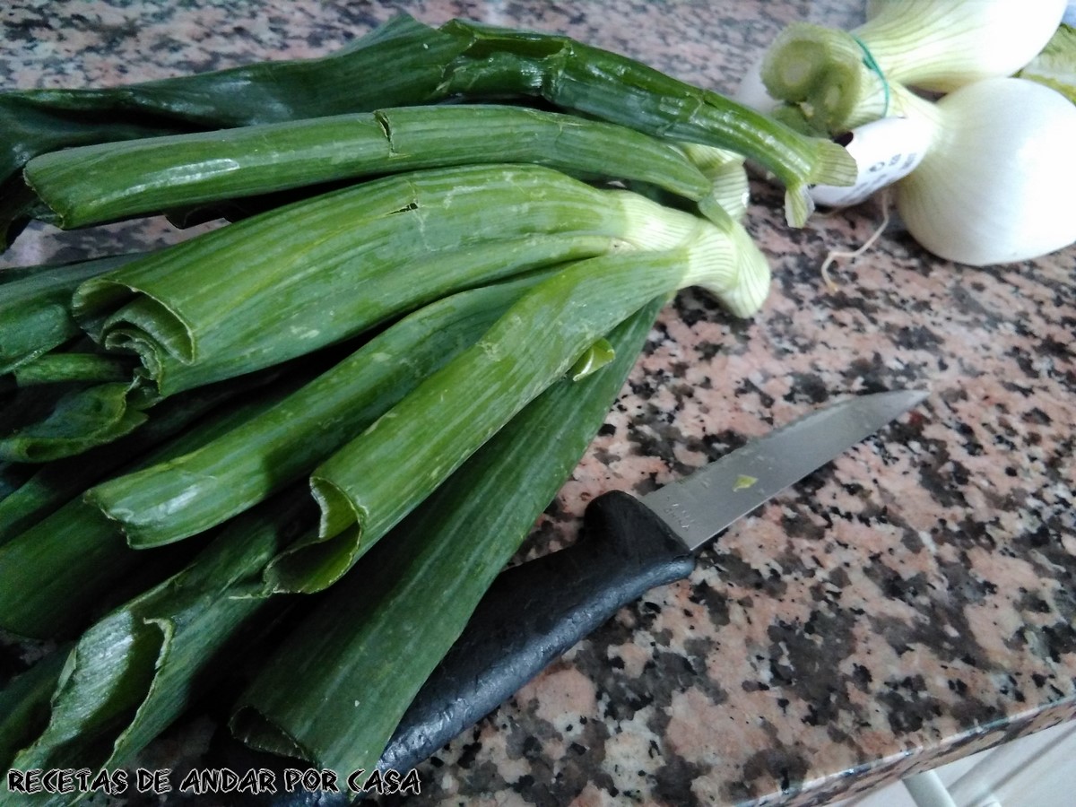 Recetas de andar por casa.: Tortilla de rabo de cebolla tierna