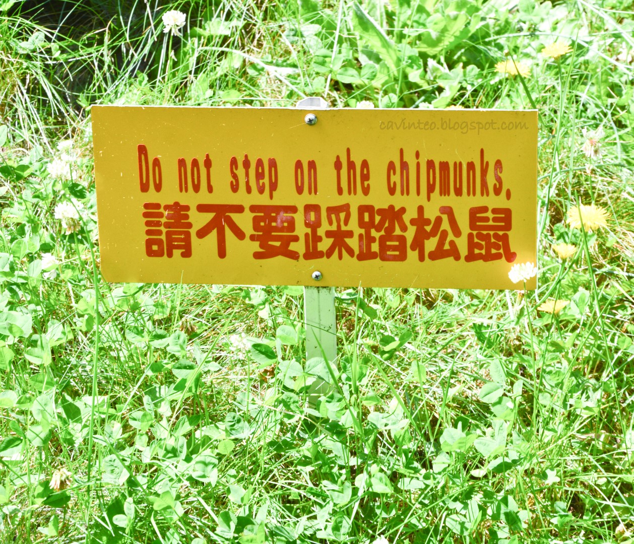 Entree Kibbles: The Chipmunk Enclosure at Mount Tengu in Otaru ...