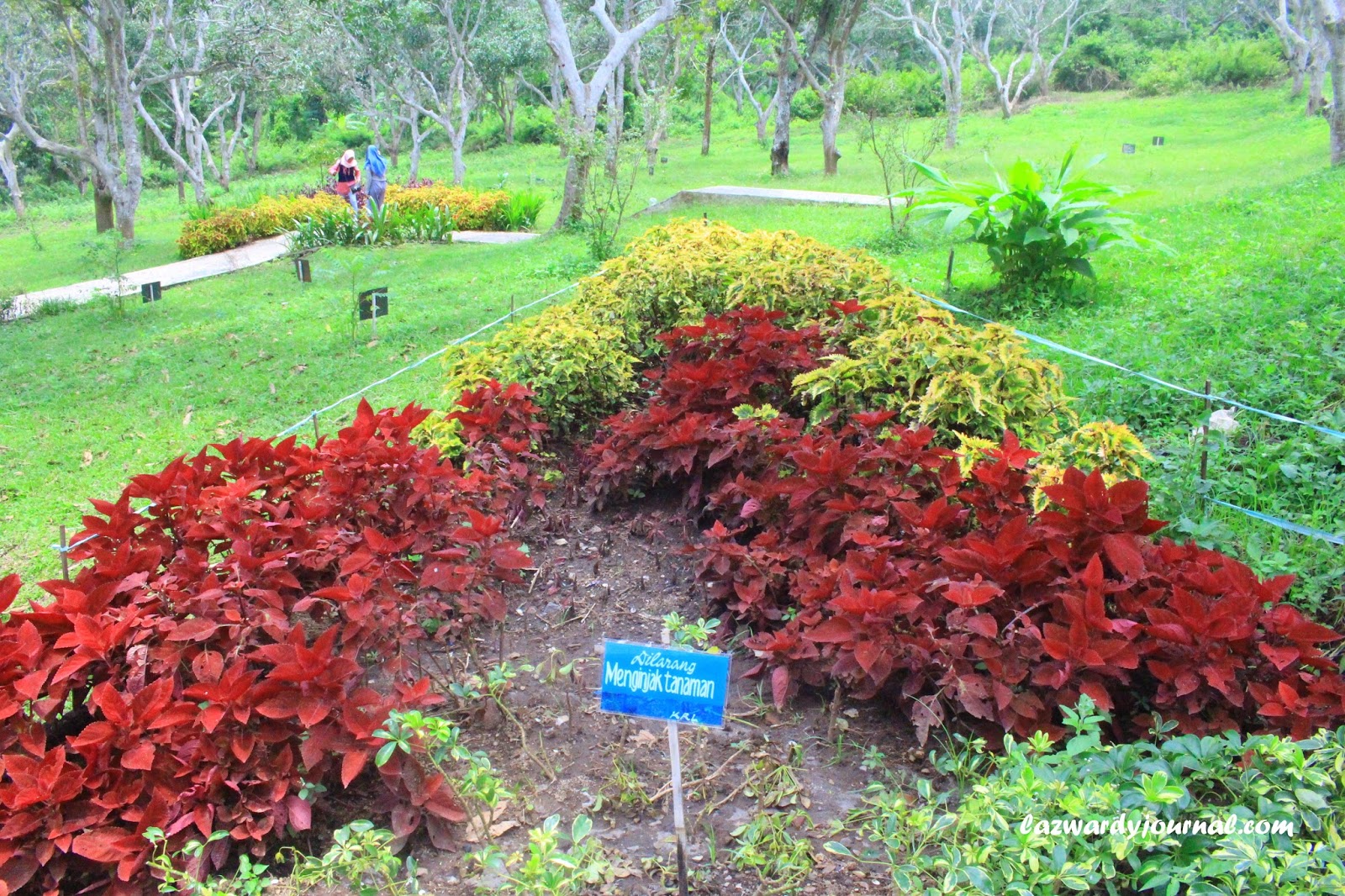 Mengenal Kebun Raya Lombok ~ Lazwardy Journal