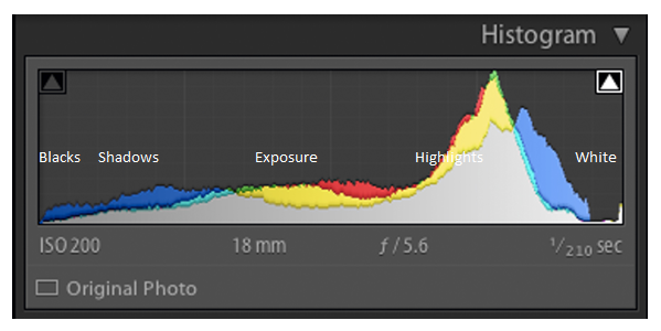 Charly & Ben's Crafty Corner: Photo Friday - Understanding the ...