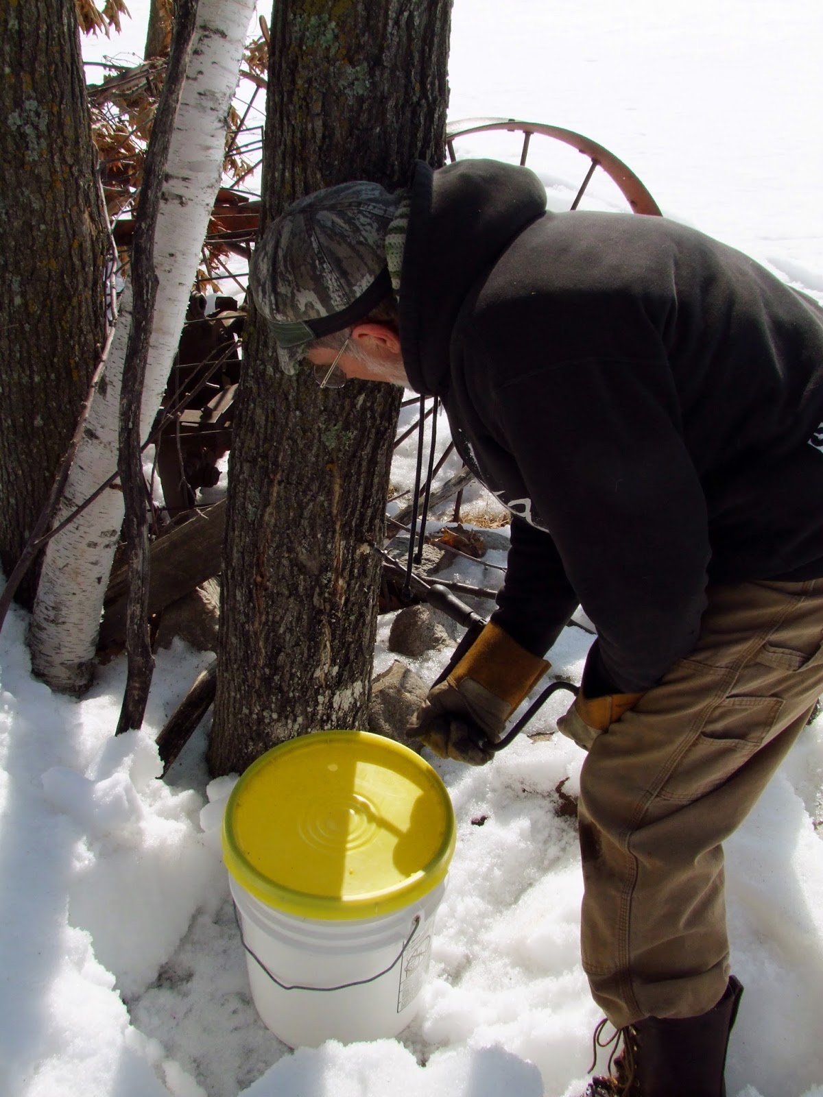 Awe In Nature: Literature and The Environment Media Presentation ...