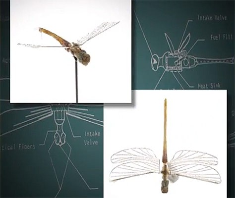 CIA dragonfly drone almost beat modern UAVs by 40 years, was swatted ...