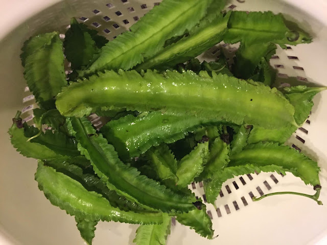 What Are Winged Beans? + A Delicious Winged Bean Stir-Fry Recipe!