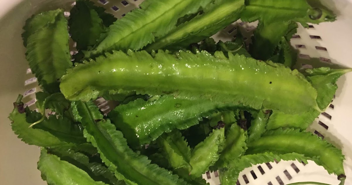 What Are Winged Beans? + A Delicious Winged Bean Stir-Fry Recipe!