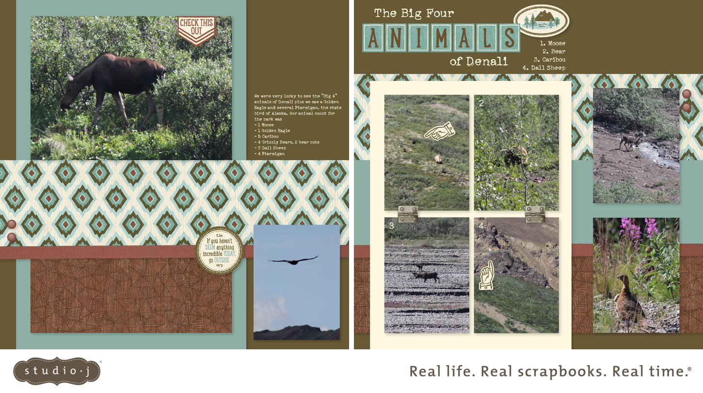 The Campbraian: Denali National Park