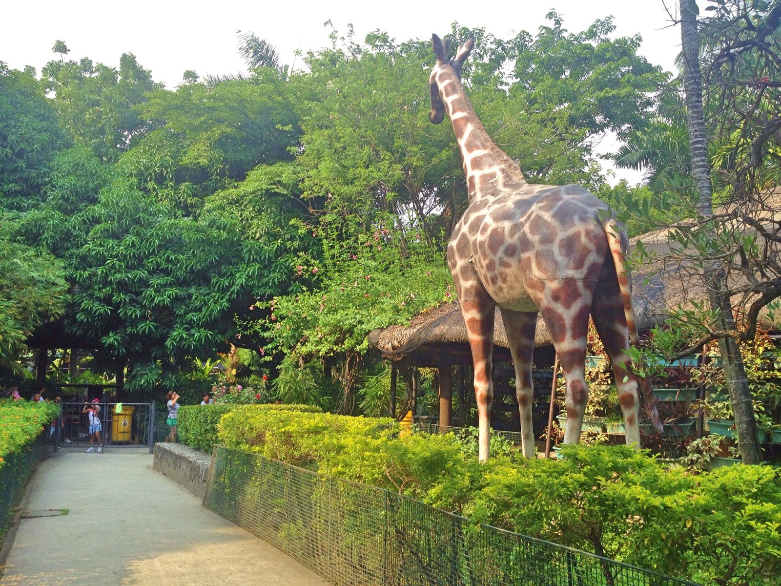 PASIG: Rainforest Adventure Experience (RAVE)