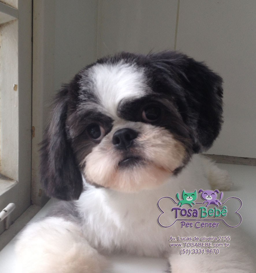 TOSA BEBÊ - TOSA VERÃO - TOSA TESOURA -TOSA PORTO ALEGRE: TOSA BEBÊ ...