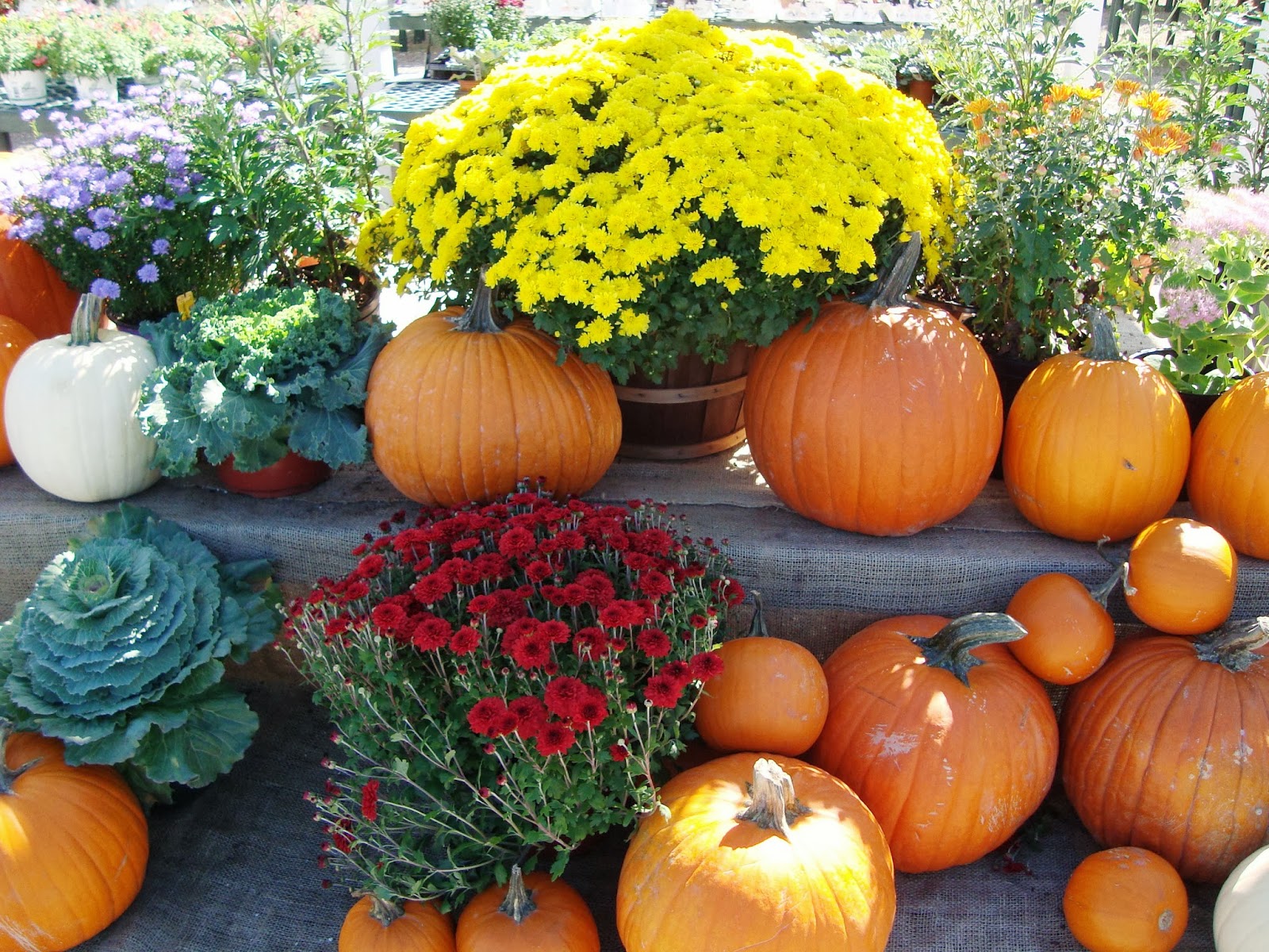 Say Yes to New England: Happy Fall!