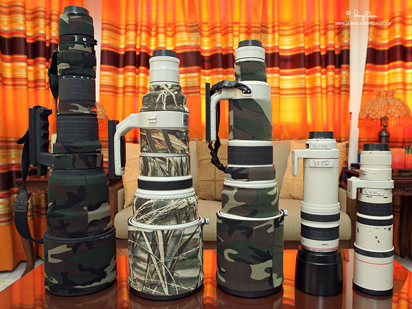 Romy Ocon's Wild Birds of the Philippines: About the Photographer and ...