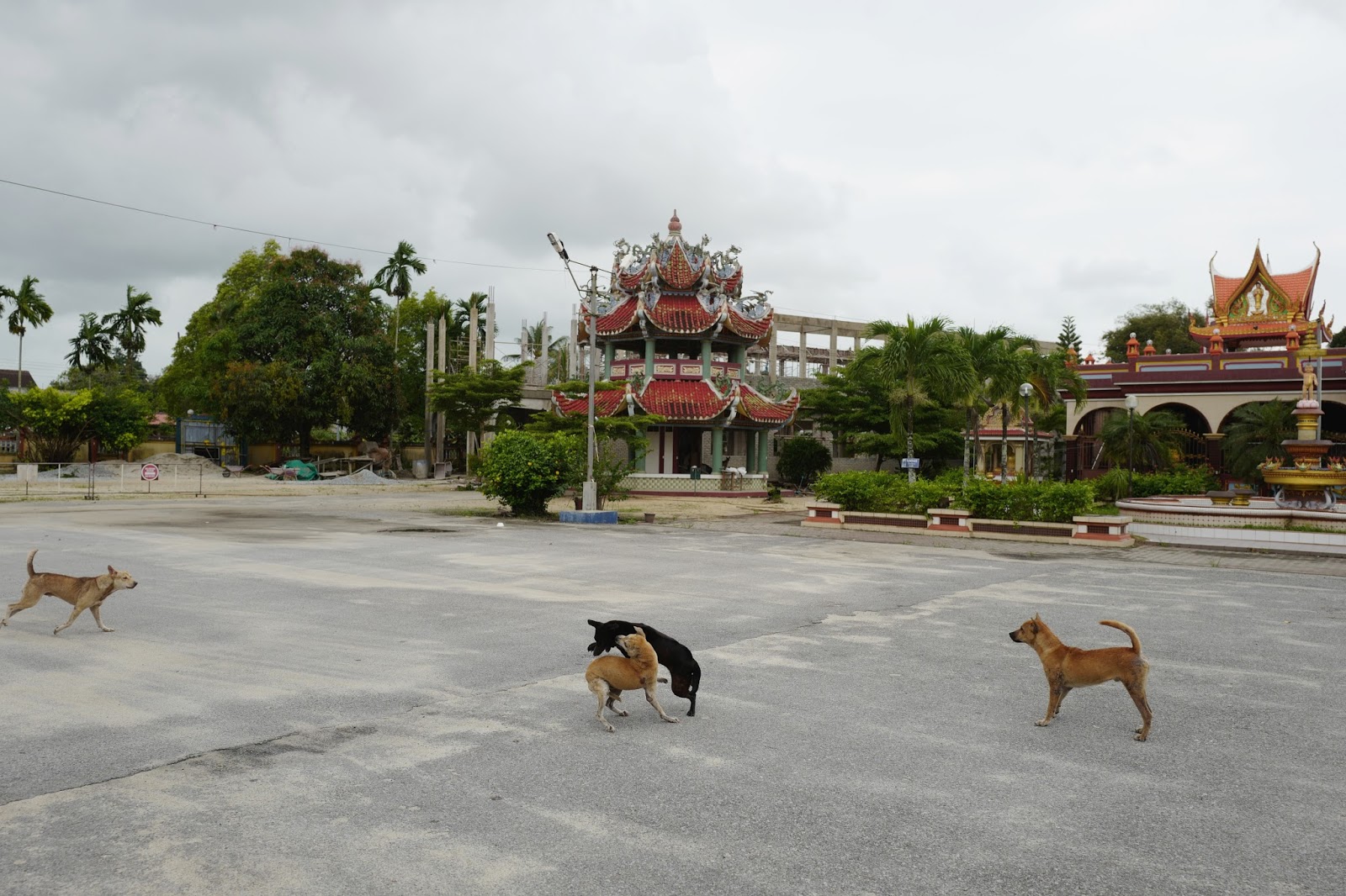 JE TunNel: WAT MACHIMMARAM 坐佛庙@ Tumpat, Kelantan~ The Biggest Sitting ...