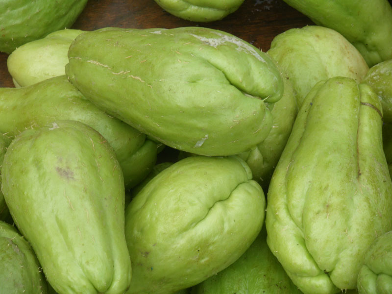 Simplemente Mabel, donde aprender es mucho más fácil.: Beneficios del ...