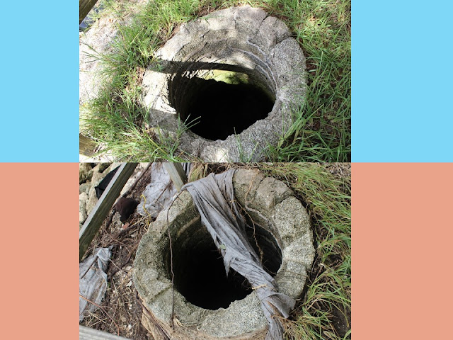 How to be a Heritage Monitoring Scout: Part 1 - Why monitor ...