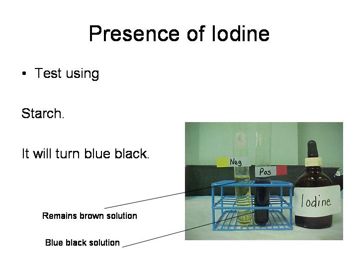 MISS SHANTI @ BPSS: Water vapour test & Iodine test