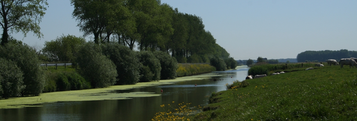 't Zomert in Lo-Reninge - Getest op kinderen